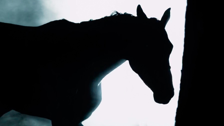 Robin Risser : Colorist